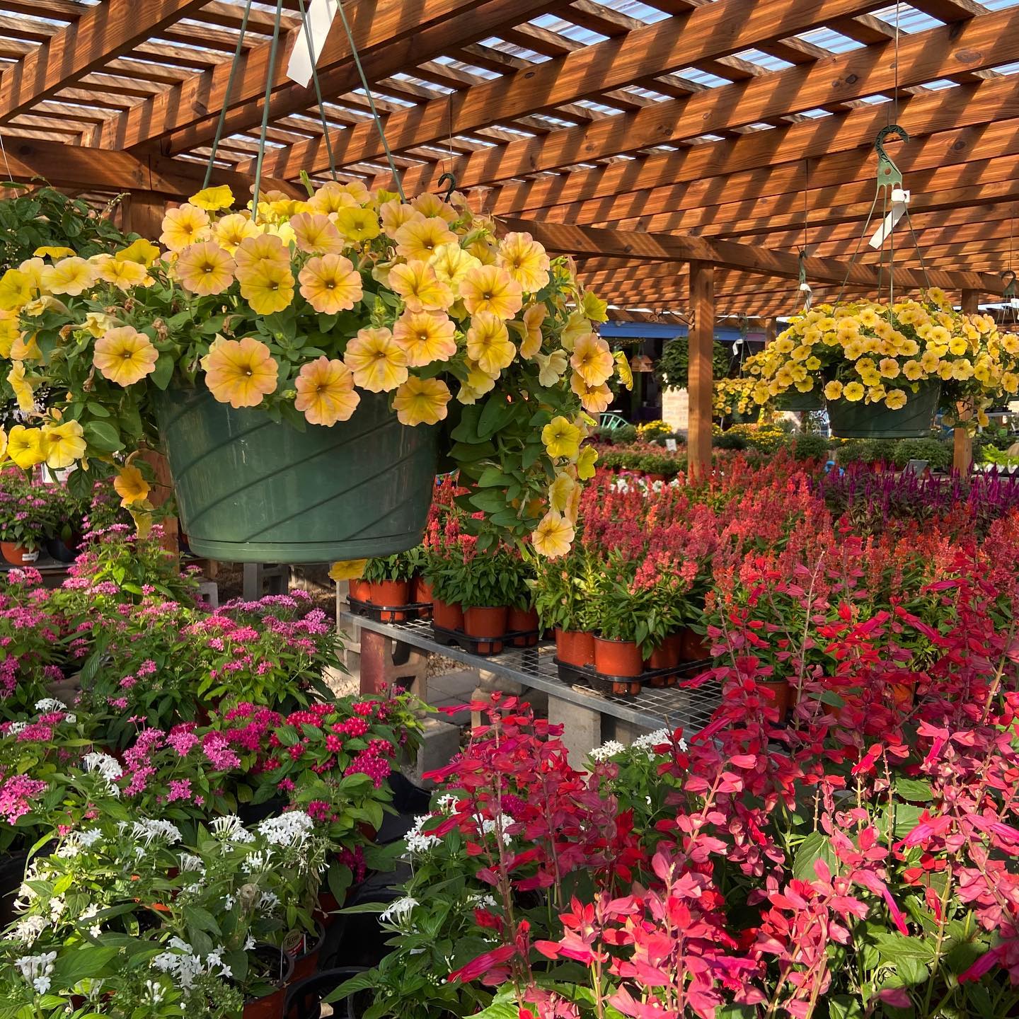 Plant Nursery, Garden Center and Landscaping Needs | A&A